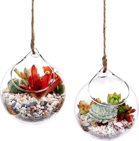 10 Best Hanging Succulent Planters