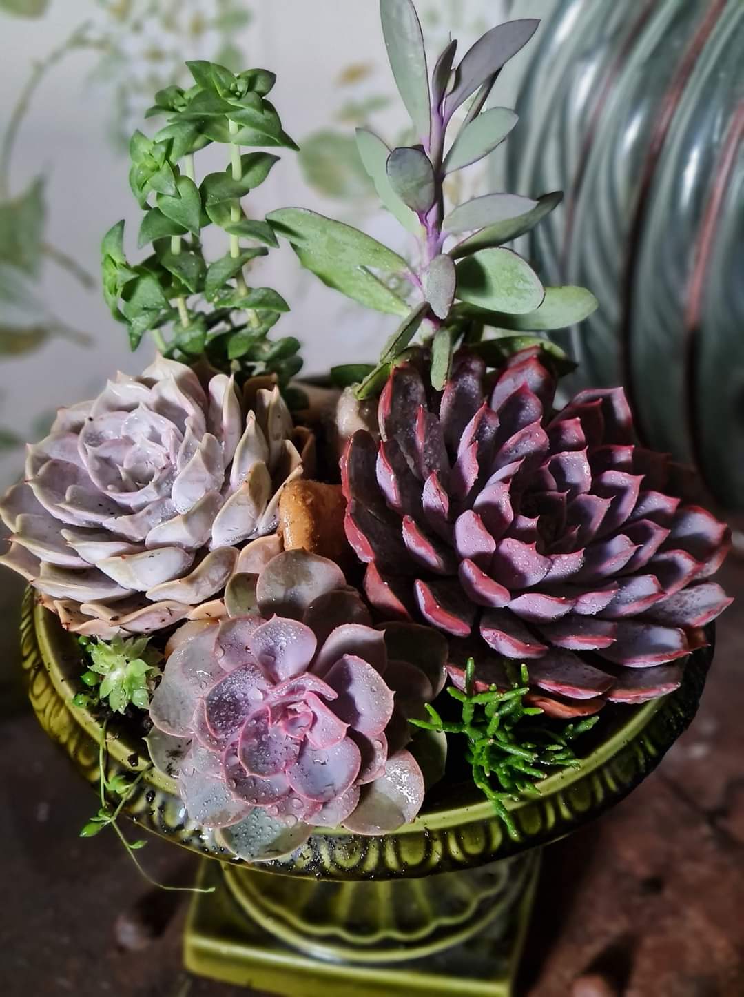 Home - Rooted In Garden