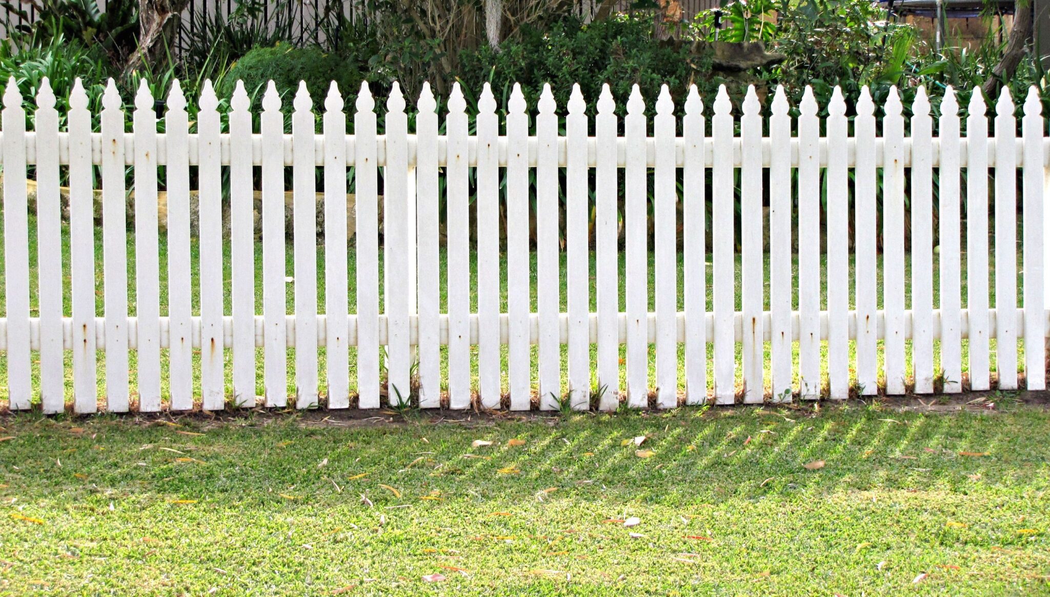 20 Cheap Garden Fencing Ideas