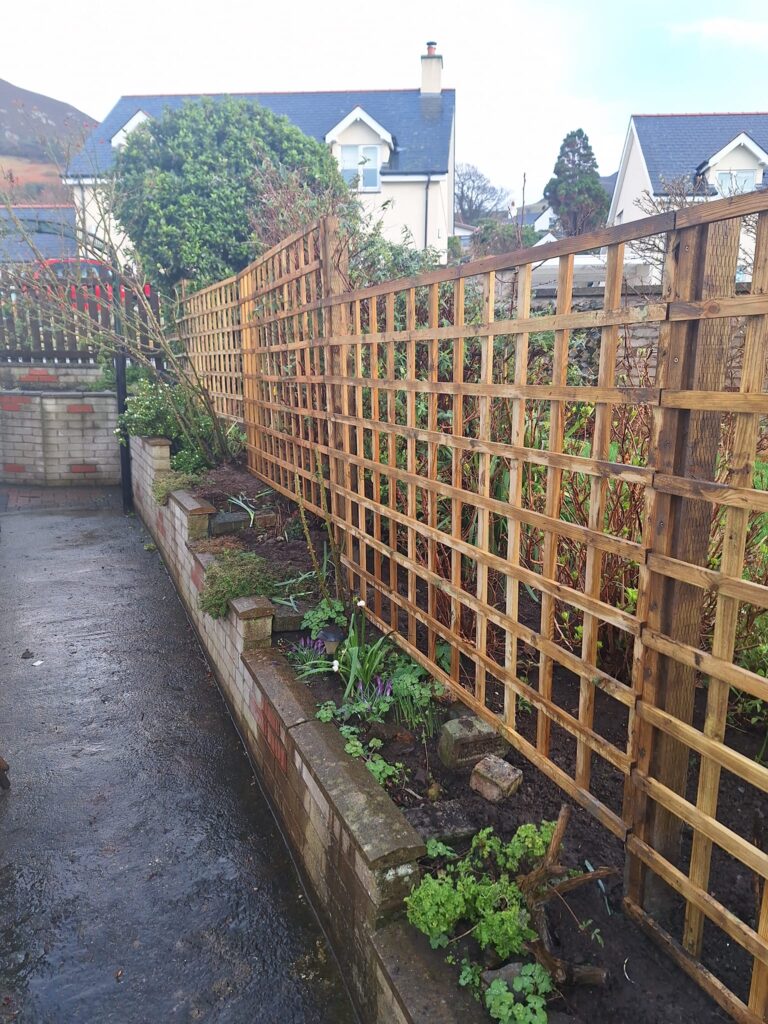 20 Cheap Garden Fencing Ideas