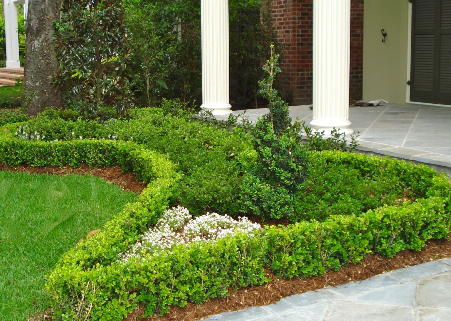 20 Cheap Garden Fencing Ideas