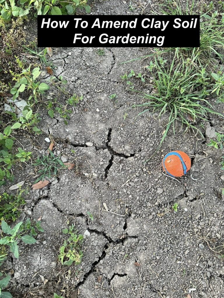 How To Amend Clay Soil For Gardening
