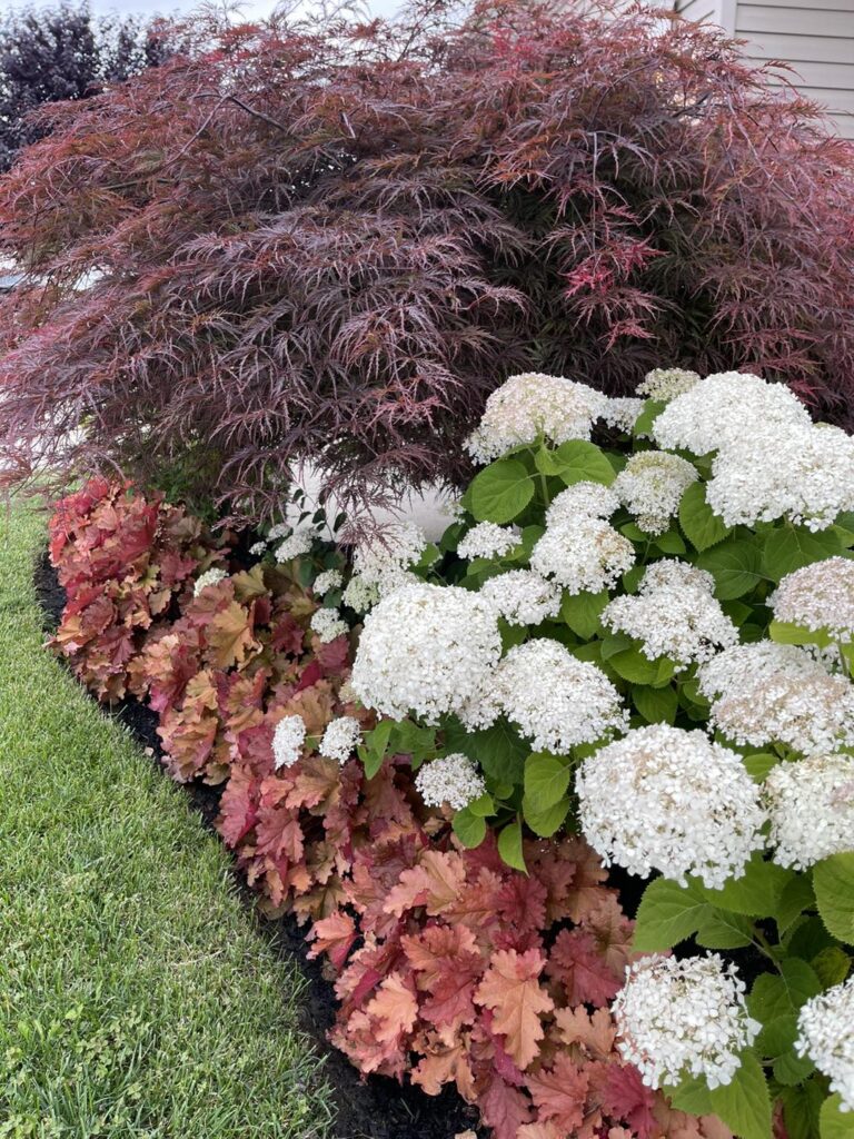 The Best Companion Plants for Hydrangeas