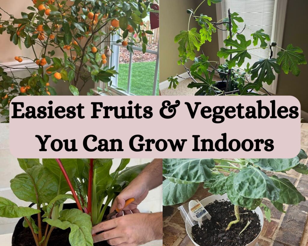 20 Easiest Fruits And Vegetables You Can Grow Indoors