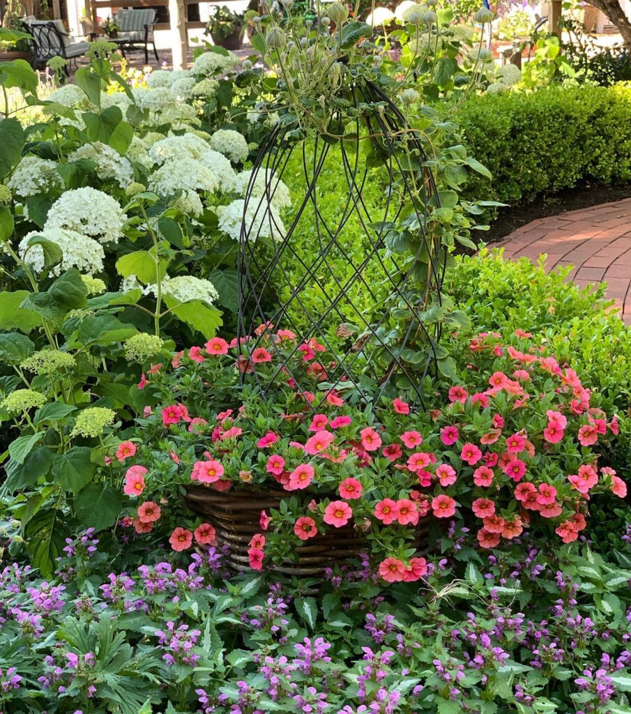 The Best Companion Plants for Hydrangeas